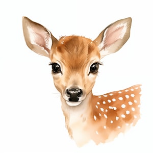 Fawn Baby Clipart, Baby Deer Images, 12 Watercolor Clip Art, Printable ...