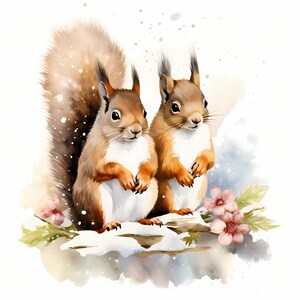 Squirrel Couple Clipart, Winter Squirrels Images, 10 Watercolor Clip ...