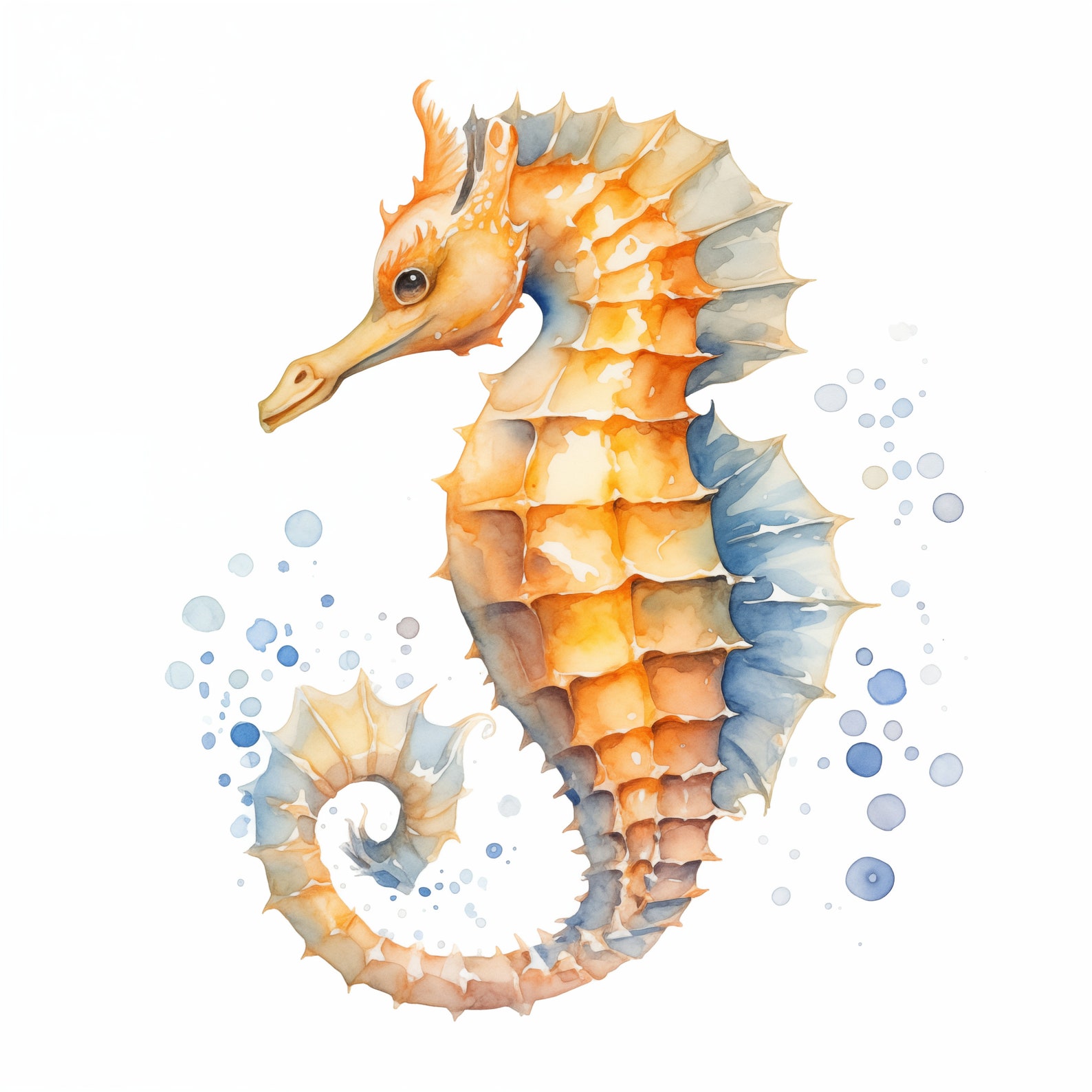 Seahorse Clipart, Seahorse Images, 10 Watercolor Clip Art, Printable ...