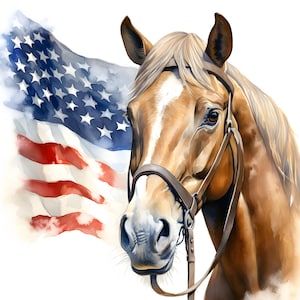 Patriotic Horse Clipart, American Horse With USA Flag Images, 10 ...