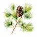 Pine Cones Clipart, Christmas Fir Tree Images, 10 Watercolor Clip Art ...