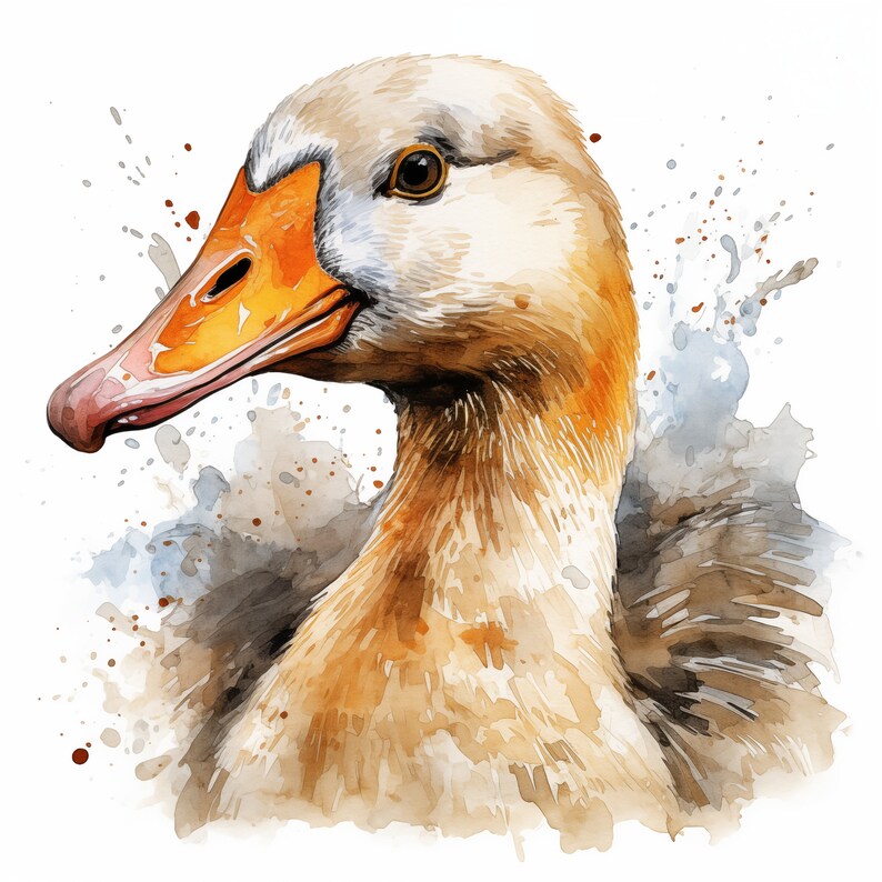 Goose Clipart, Farm Goose Images, 14 Watercolor Clip Art, Printable ...