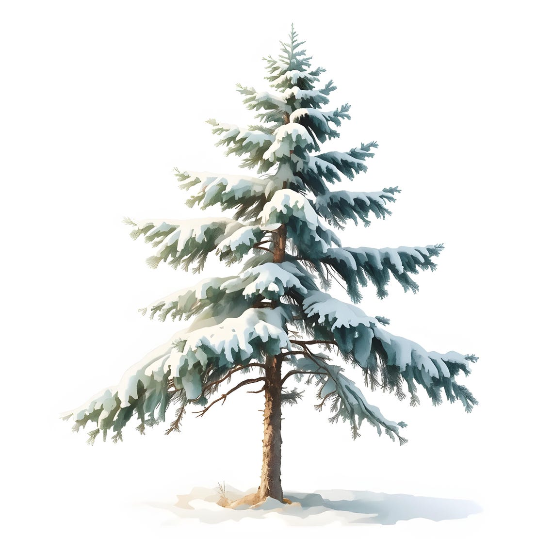 Pine Tree Clipart, Winter Tree Images, 10 Watercolor Clip Art ...
