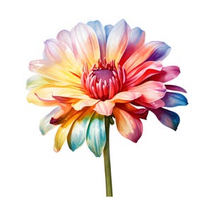 Rainbow Flower Clipart, Colored Flowers Images, 10 Watercolor Clip Art ...