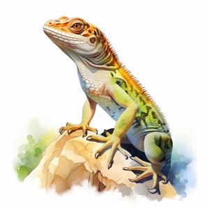 Lizard Clipart, Reptiles Images, 10 Watercolor Clip Art, Printable Jpgs ...