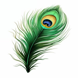 Feather Clipart, Peacock Feather Images, 10 Watercolor Clip Art ...