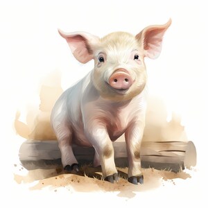 Farm Pig Clipart, Farmyard Pig Images, 10 Watercolor Clip Art ...