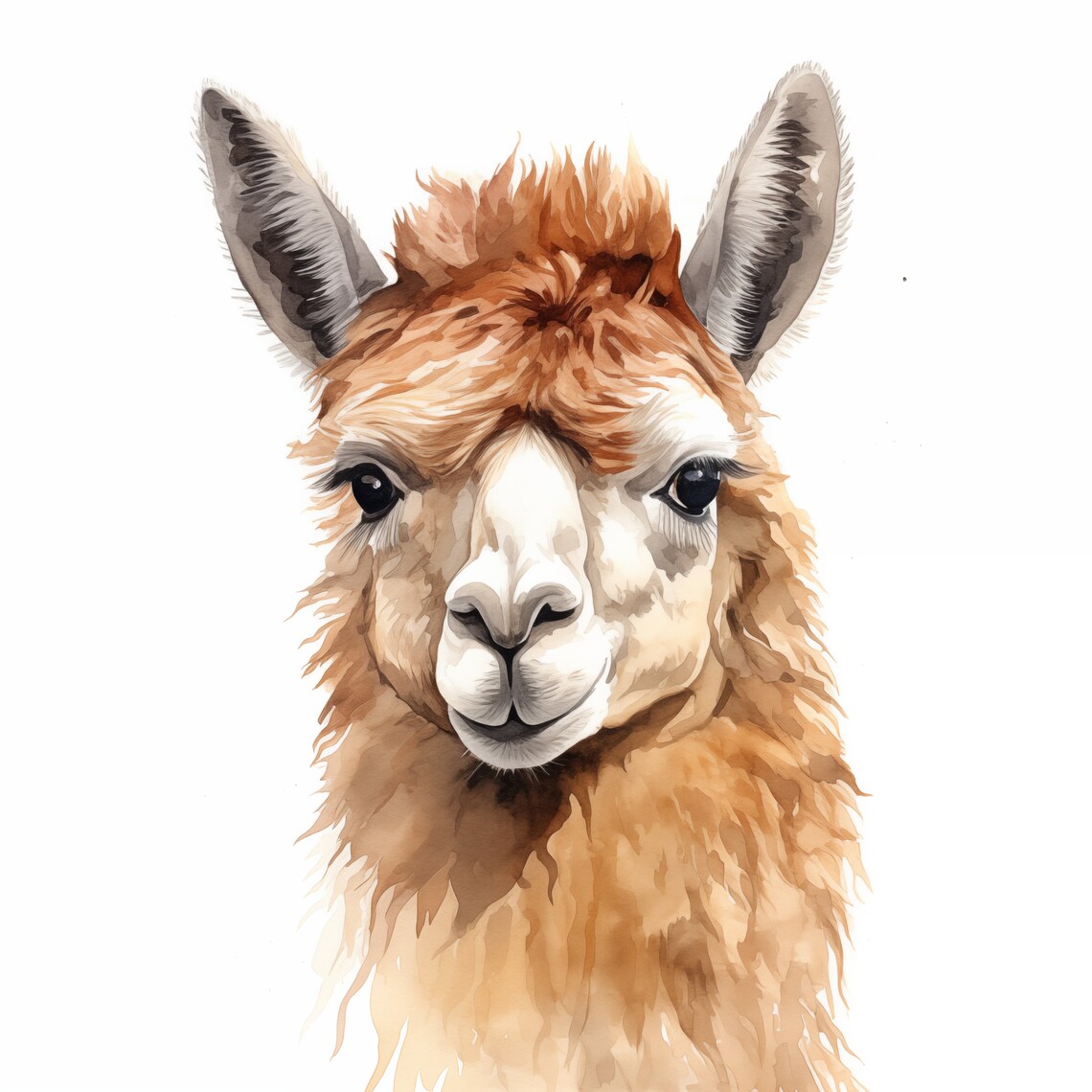 Watercolor Llama Clipart: Printable JPG Images, Commercial Use (digital ...