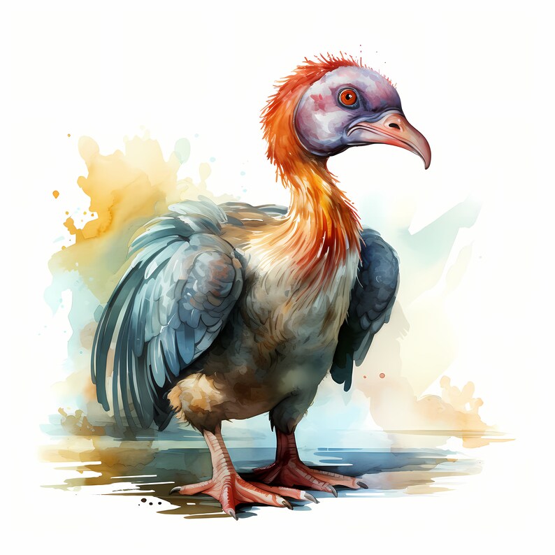 Dodo Clipart, Dodo Birds Images, 10 Watercolor Clip Art, Printable Jpgs ...