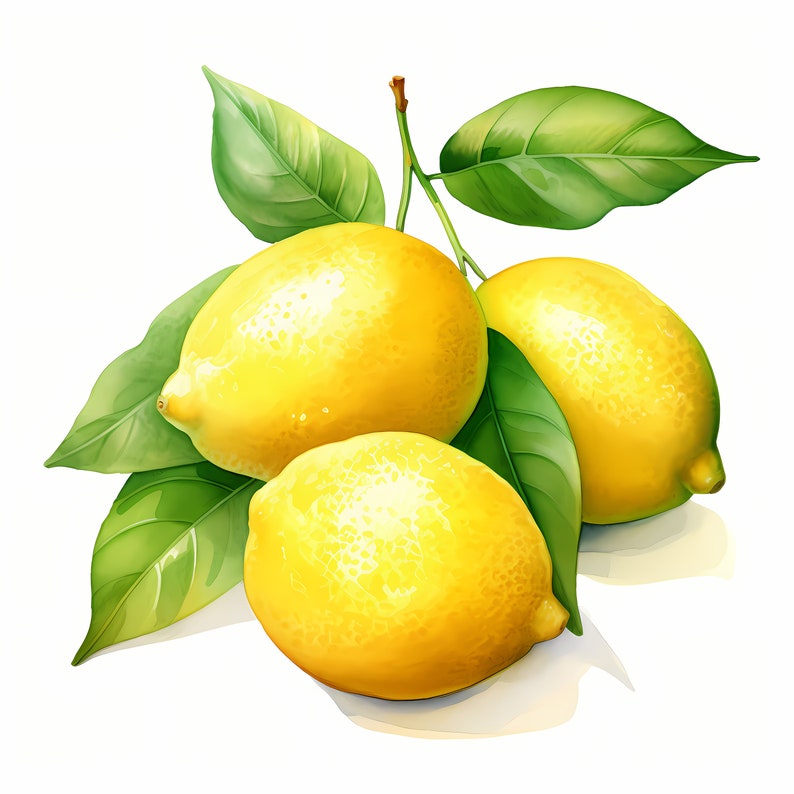 Lemons, Fresh Citrus, Fruit Lemon Watercolor Clipart Set With 10 JPG ...
