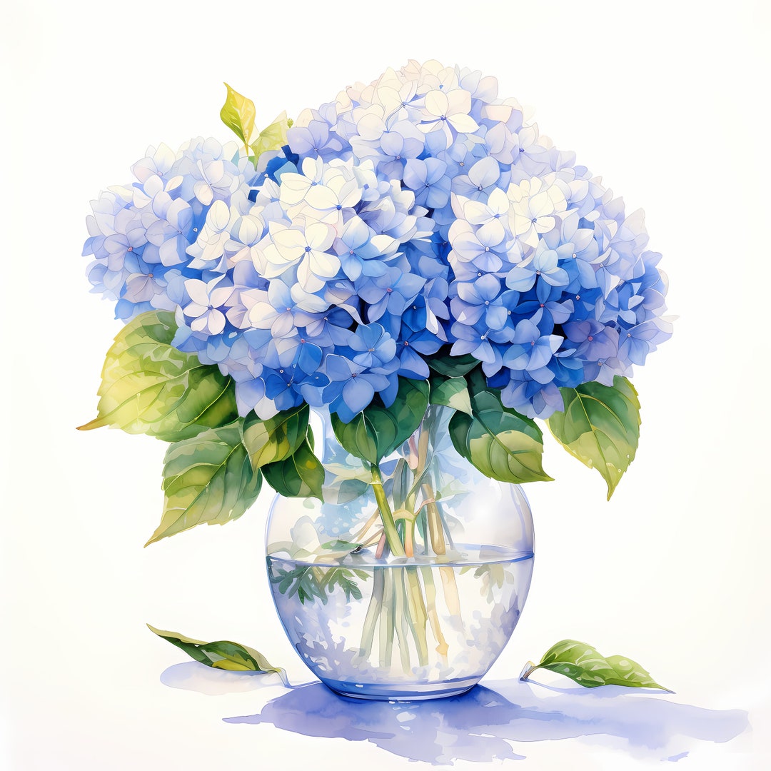 Hydrangea Clipart, Hydrangea in Vase Images, 10 Watercolor Clip Art ...