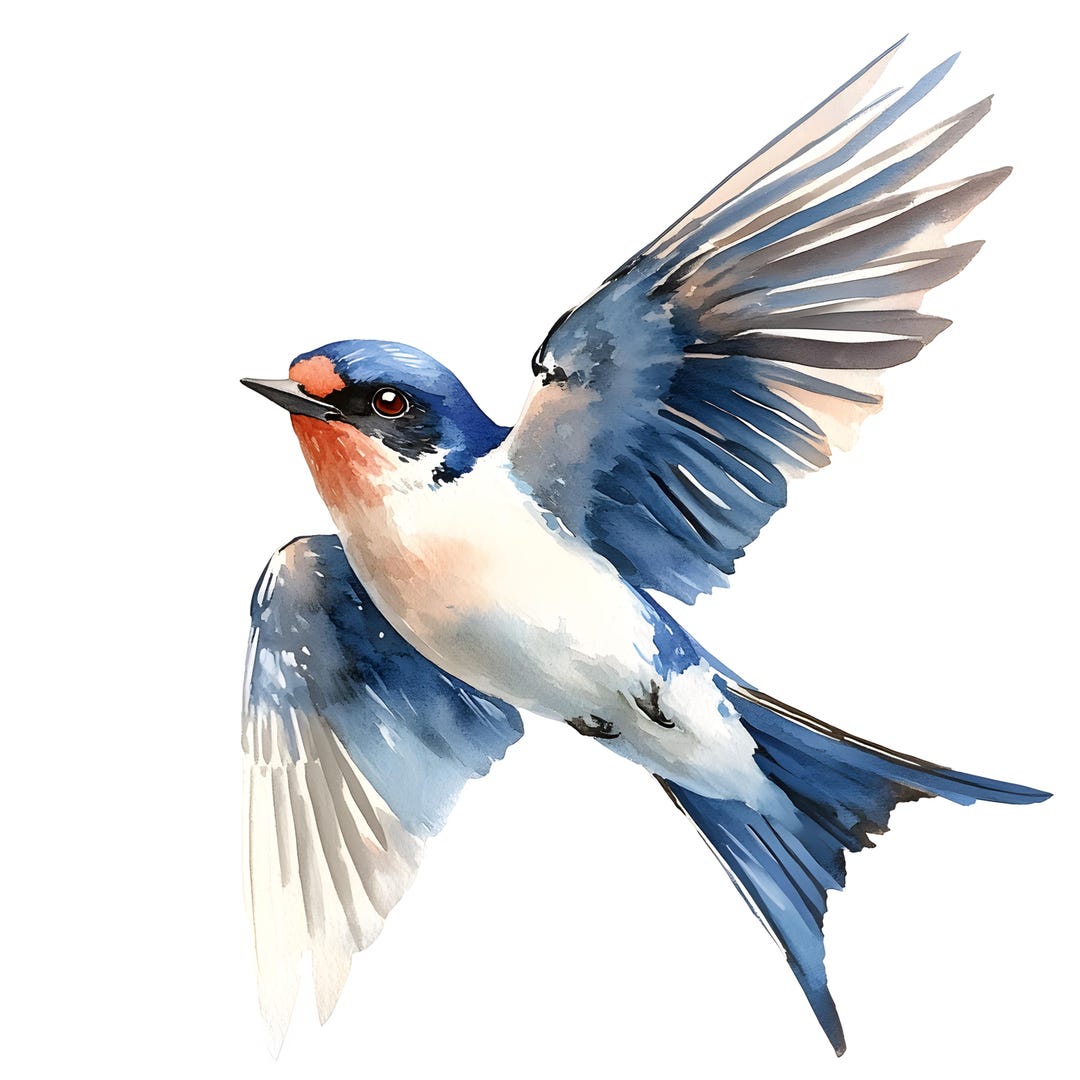 Swallow Clipart, Flying Swallow Bird Images, 10 Watercolor Clip Art ...