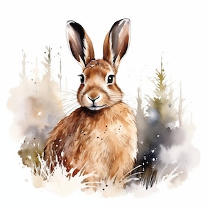 Hare Clipart, Rabbit in Winter Images, 18 Watercolor Clip Art ...