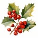Watercolor Holly Berries Clipart: Christmas Images (jpgs, Instant ...
