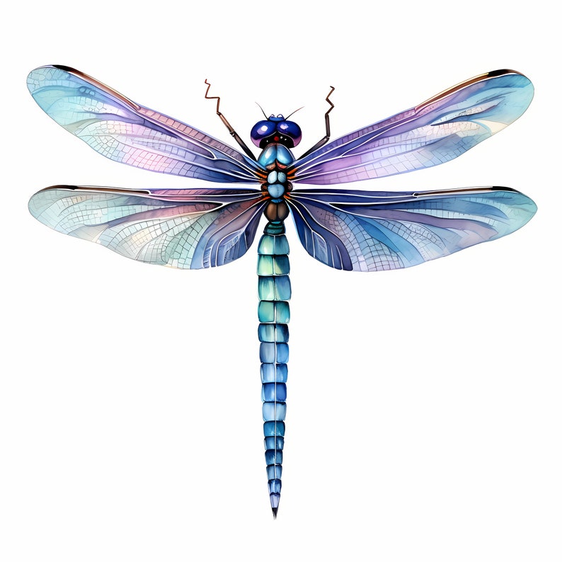 Dragonfly Clipart, Dragonflies Images, 10 Watercolor Clip Art ...