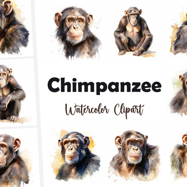 Chimpanzee Art - Etsy