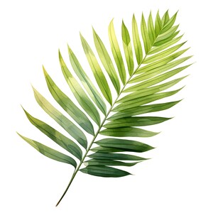 Palm Beach Leaf Clipart, Tropical Leaf Images, 10 Watercolor Clip Art ...