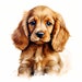 Cocker Spaniel Clipart, Puppy Dog Images, 10 Watercolor Clip Art ...