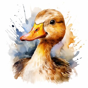 Duck Clipart, Farm Duck Images, 16 Watercolor Clip Art, Printable Jpgs ...