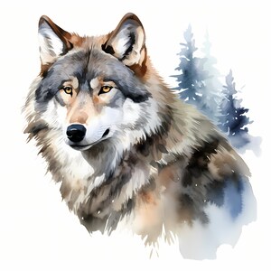 Winter Wolf Clipart, Wolves in Winter Images, 10 Watercolor Clip Art ...