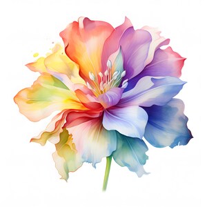 Rainbow Flower Clipart, Colored Flowers Images, 10 Watercolor Clip Art ...