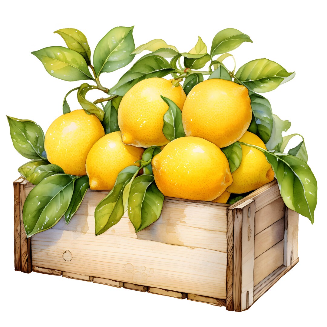 Lemons Box Clipart, Lemons in Wooden Box Images, 10 Watercolor Clip Art ...