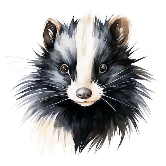 Zorrillo Bebé ¡Un Zorrillo Muy Oloroso! 🤢 + Mas | Canciones