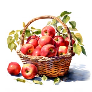 Red Apples Clipart, Apples in Basket Images, 10 Watercolor Clip Art ...