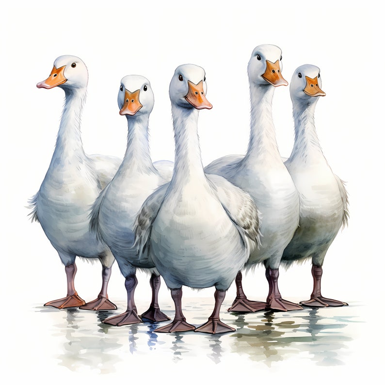 Geese Clipart, Farm Geese Images, 10 Watercolor Clip Art, Printable ...