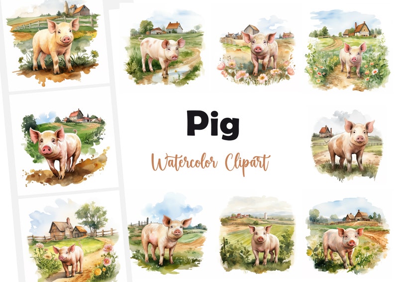 12 Farm Pig Clipart, Pig Clipart, Watercolor Clipart, High Quality Jpgs ...