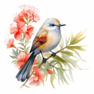 Bird With Flowers Clipart, Floral Birds Images, 10 Watercolor Clip Art ...