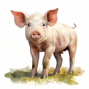 Farmyard Pig Clipart, Farm Pig Images, 10 Watercolor Clip Art ...