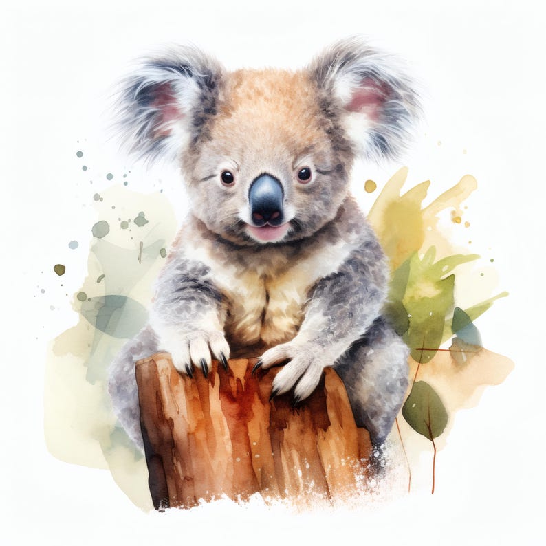 Cute Koala Clipart, Australian Animal Images, 10 Watercolor Clip Art ...