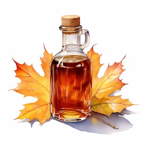 Maple Syrup Clipart, Canadian Maple Syrup Images, 10 Watercolor Clip ...