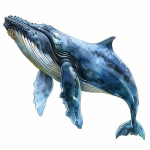 Whale Clipart, Cartoon Whales Images, 10 Watercolor Clip Art, Printable ...