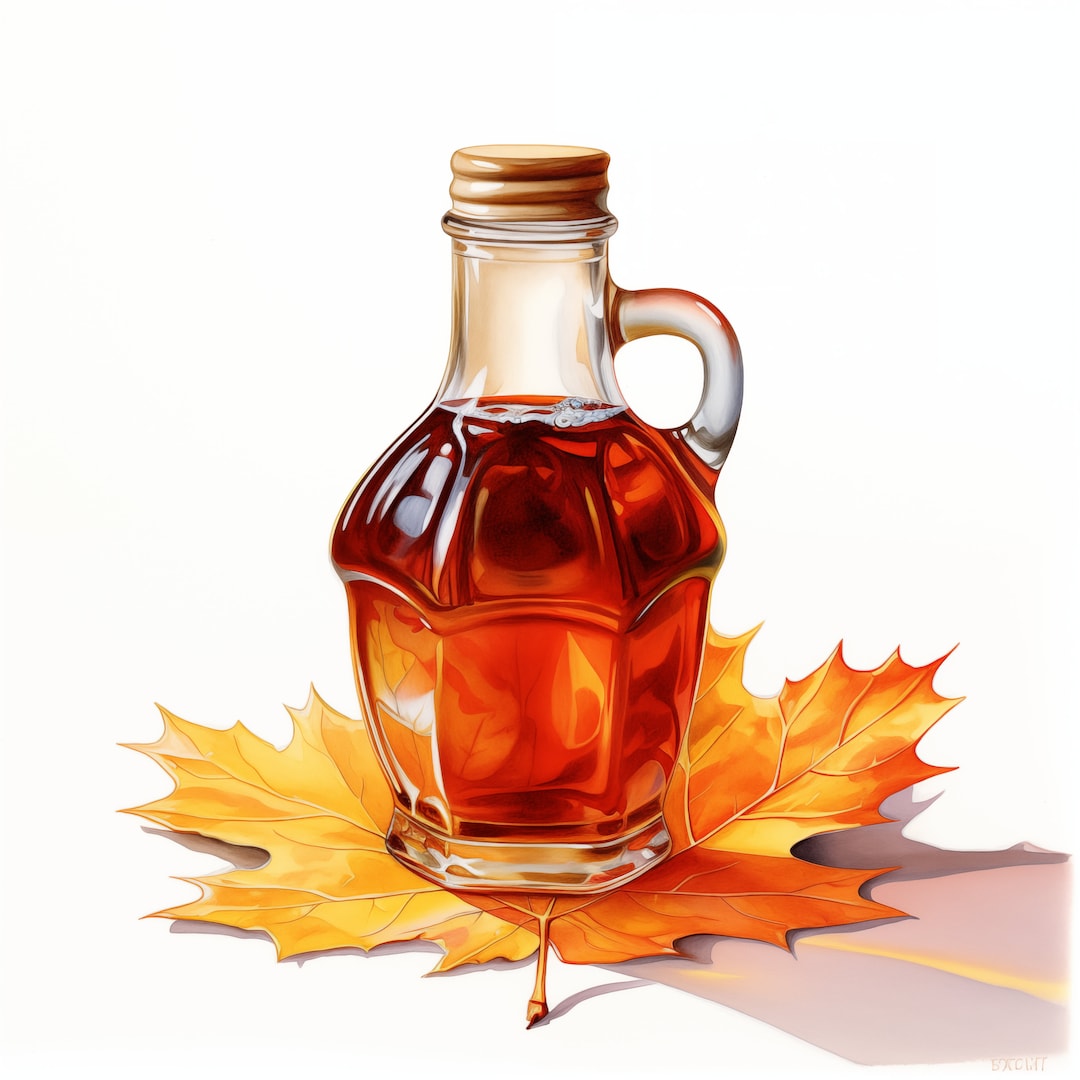 Maple Syrup Clipart, Canadian Maple Syrup Images, 10 Watercolor Clip ...