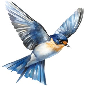 Swallow Clipart, Flying Swallow Bird Images, 10 Watercolor Clip Art ...