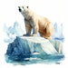 Watercolor Polar Bear Clipart: Arctic Animal Jpgs (commercial Use) - Etsy