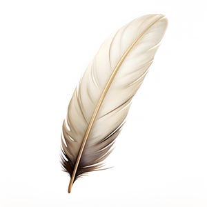 Watercolor Feather Clipart: Elegant Feather Images (jpgs, Commercial ...