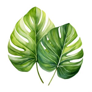 Tropical Leaves Clipart, Green Leaves Images, 10 Watercolor Clip Art ...