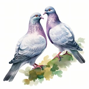 Pigeons Clipart, Doves, Street Birds Images, 10 Watercolor Clip Art ...