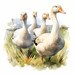 Goose Clipart, Farm Geese Images, 10 Watercolor Clip Art, Printable ...