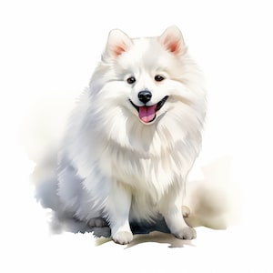 Japanese Spitz Clipart, Japanese Dog Images, 10 Watercolor Clip Art ...