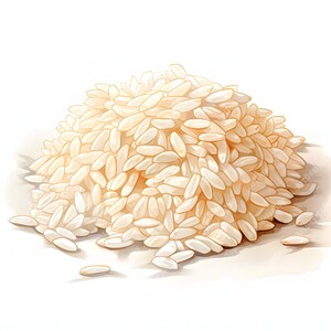 Rice Clipart, Rice Grains Images, 10 Watercolor Clip Art, Printable ...