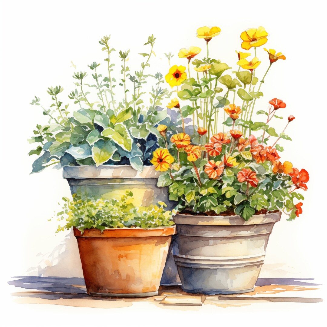 Flower Pots Clipart, Rustic Flowerpots Images, 10 Watercolor Clip Art ...