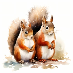 Squirrel Couple Clipart, Winter Squirrels Images, 10 Watercolor Clip ...
