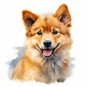 10 Finnish Spitz, Puppy Dog, Finnish Hunting Dog JPG, Watercolor ...