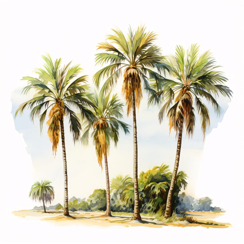 Palm Tree Clipart, Tropical Beach Images, 10 Watercolor Clip Art ...