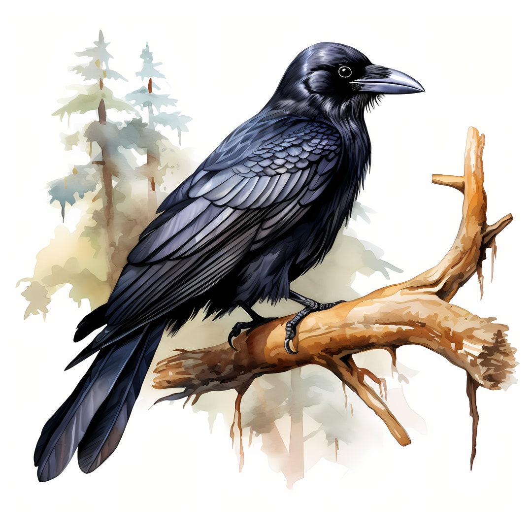 Raven Clipart, Mystical Ravens Images, 10 Watercolor Clip Art ...