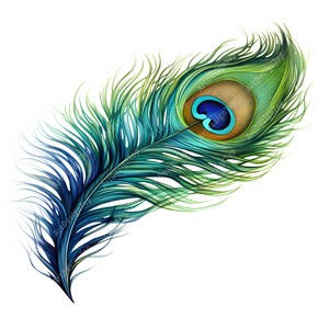 Peacock Feather Clipart, Elegant Feathers Images, 10 Watercolor Clip ...